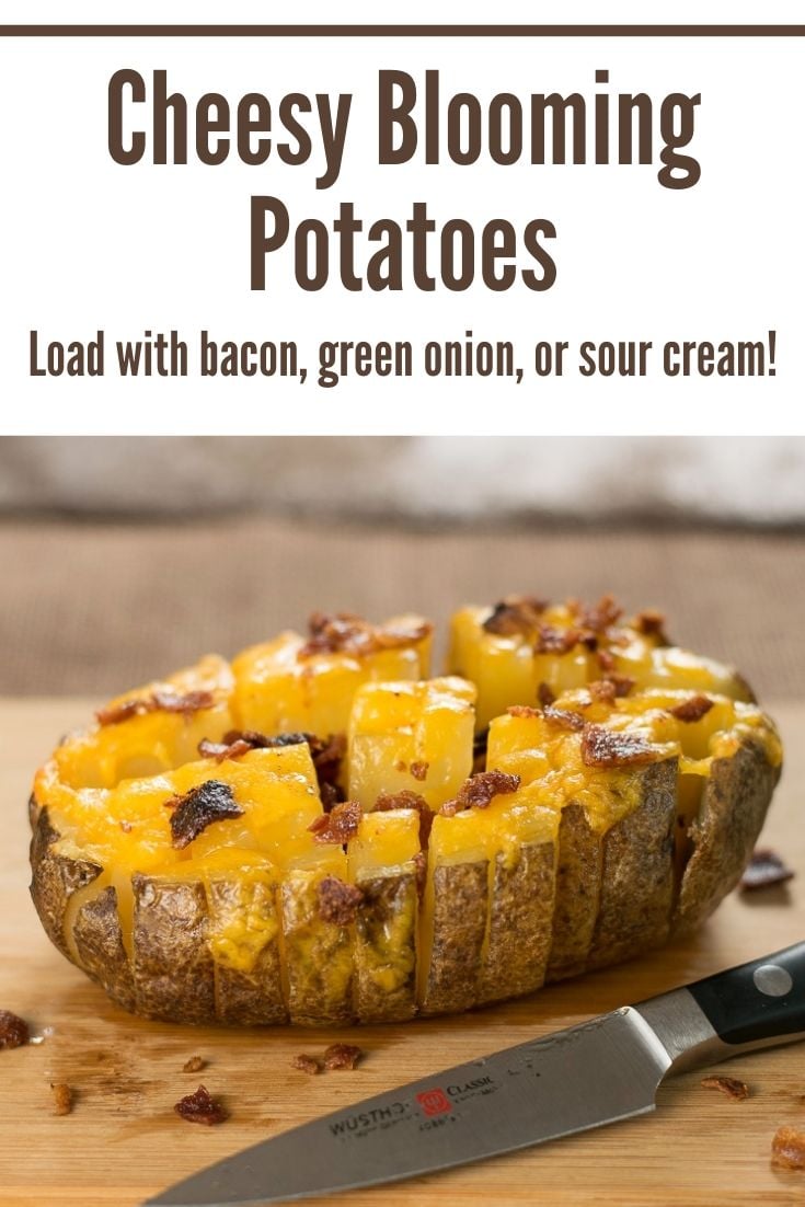 Blooming Potato - Fox Valley Foodie