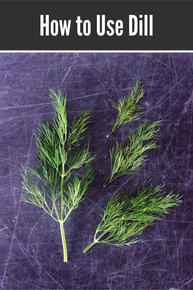 How to Use Dill - Fox Valley Foodie